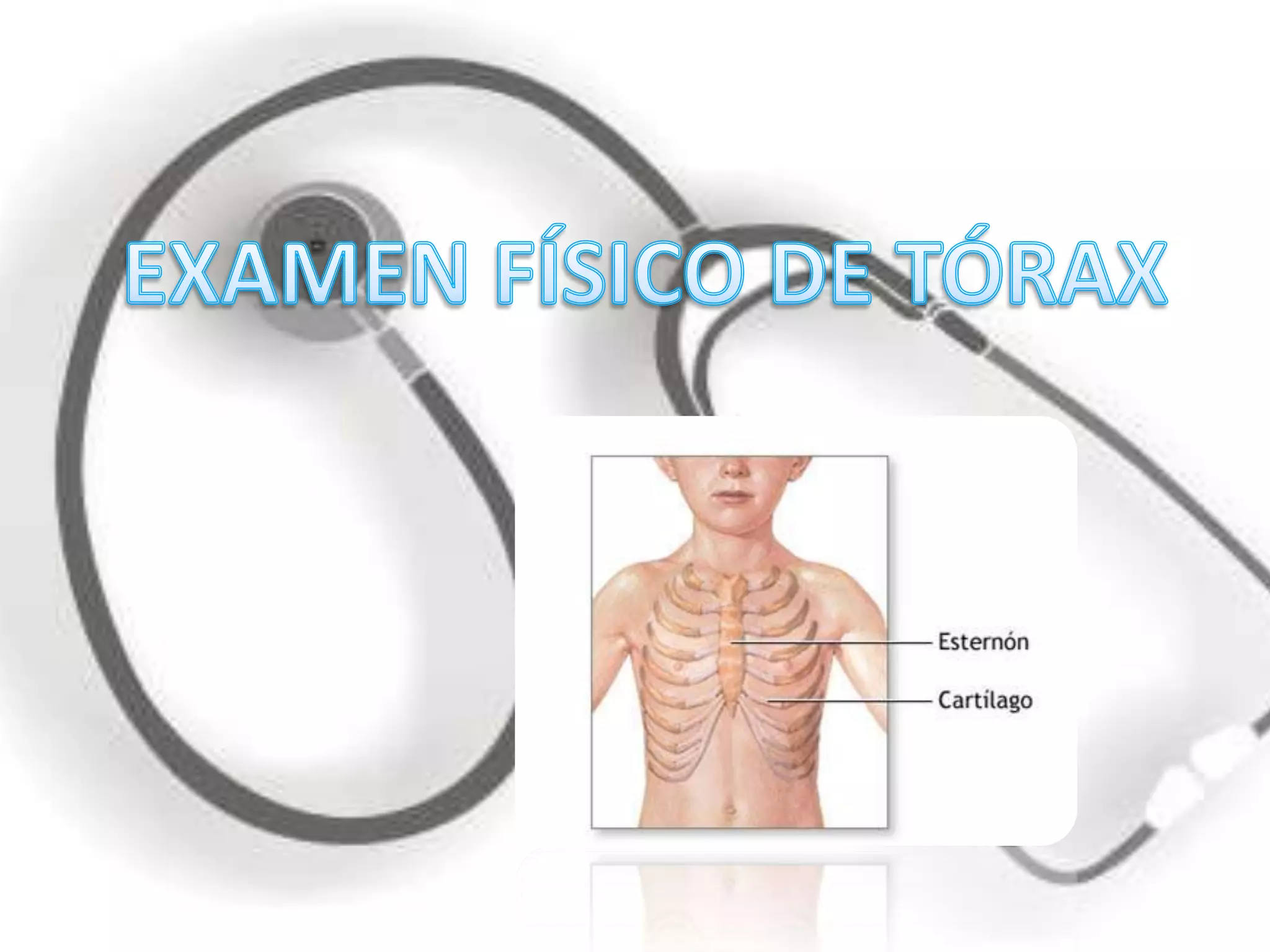 Examen fisico de torax | PPTX