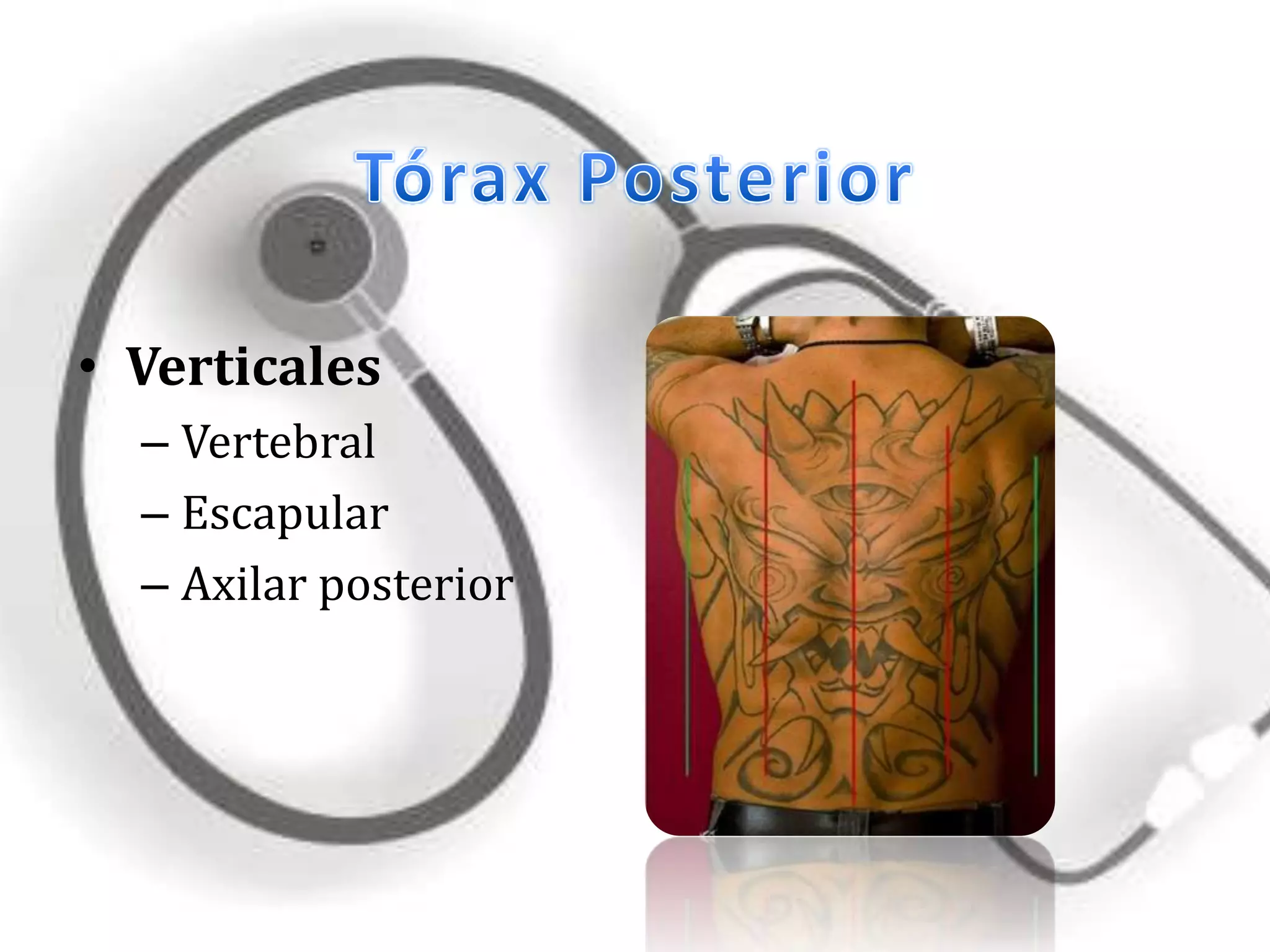 Examen fisico de torax | PPTX