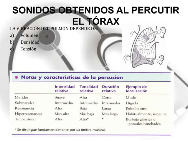 Examen fisico de torax | PPTX