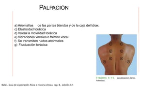 Examen físico GY SEMIOLOGICO de tórax y pulmón.pptx