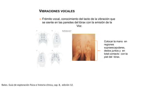 Examen físico GY SEMIOLOGICO de tórax y pulmón.pptx