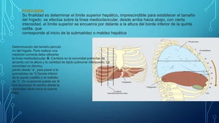 EXAMEN FISICO HIGADO SEMIOLOGIA UNIVERSIDAD CENTRAL DE N | PPTX