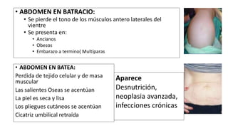 Examen fisico preferencial abdomen | PPT