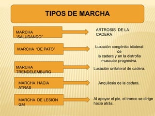 Examen fisico soma | PPTX