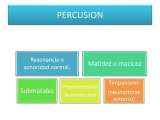 Examen fisico toracico | PPT