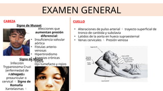 EXAMEN FÍSICO DEL APARATO CARDIOVASCULAR.pptx