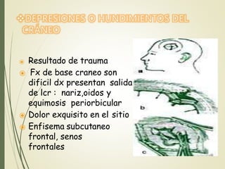 EXAMEN FÍSICO CABEZA Y CARA.pptx