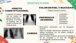 Examen físico Corazón.pptx
