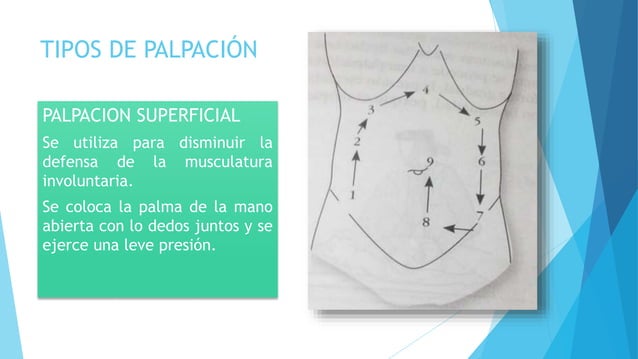 Examen físico de abdomen | PPTX