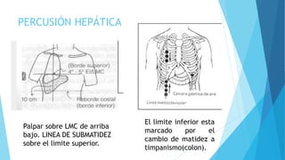 Examen físico de abdomen | PPTX