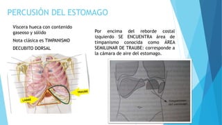 Examen físico de abdomen | PPTX