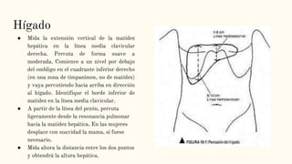 Examen Físico de Abdomen -Autoguardado- 2023.pptx