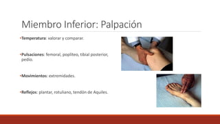 Examen físico de extremidades | PPTX