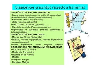 Examen físico de la mama Julio 2012 | PDF