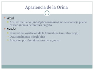 Examen físico de la orina | PPT