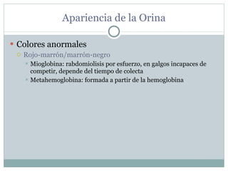 Examen físico de la orina | PPT