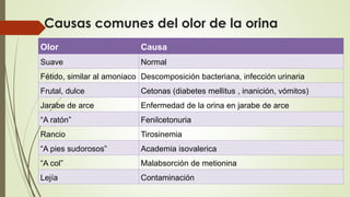 Examen físico de la orina | PPTX