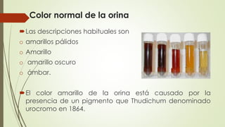 Examen físico de la orina | PPTX