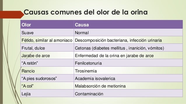 Examen físico de la orina