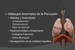 Examen físico del aparato respiratorio | PPTX