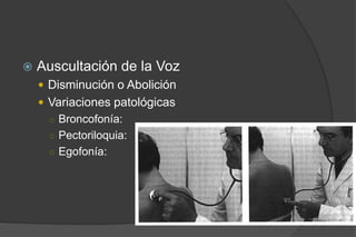 Examen físico del aparato respiratorio | PPTX