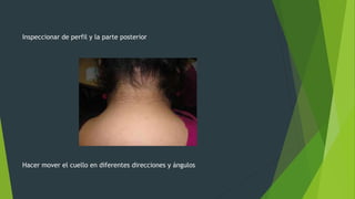Examen físico del cuello | PPTX