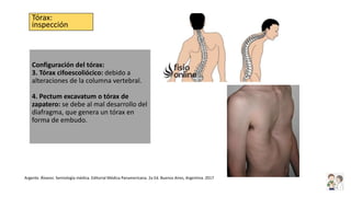 Examen físico del tórax.pptx