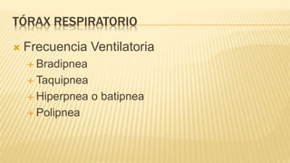 Examen_Físico_del_Tórax completo.pptx