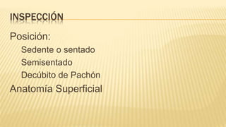 Examen_Físico_del_Tórax completo.pptx