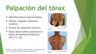 Examen físico de tórax y pulmones, Jorvis Reyes R1.pptx