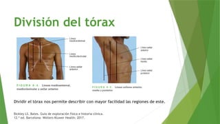Examen físico de tórax y pulmones, Jorvis Reyes R1.pptx