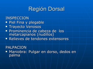 Examen físico mano | PPT