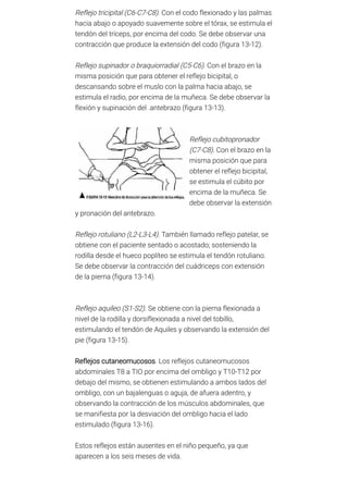 Examen físico neurológico normal.pdf
