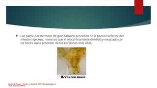 Examen general de Heces, Wright y Coprocultivo.pptx