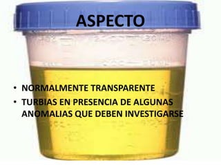 Examen general de orina | PPTX