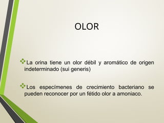 examen general de orina para mecico general.pptx