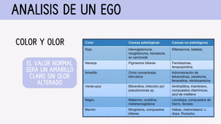 Examen General de Orina (EGO): Enfoque Clínico y Patológico | PDF