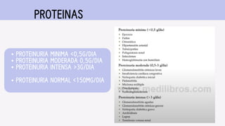 Examen General de Orina (EGO): Enfoque Clínico y Patológico | PDF