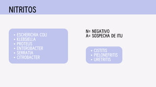 Examen General de Orina (EGO): Enfoque Clínico y Patológico | PDF