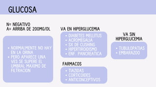 Examen General de Orina (EGO): Enfoque Clínico y Patológico | PDF