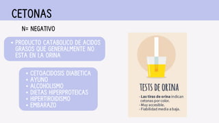 Examen General de Orina (EGO): Enfoque Clínico y Patológico | PDF