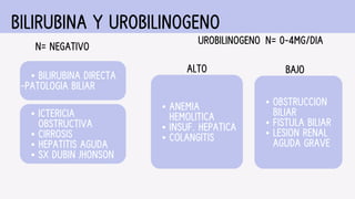 Examen General de Orina (EGO): Enfoque Clínico y Patológico | PDF
