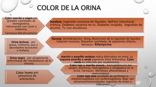 Examen general de orina | PPTX
