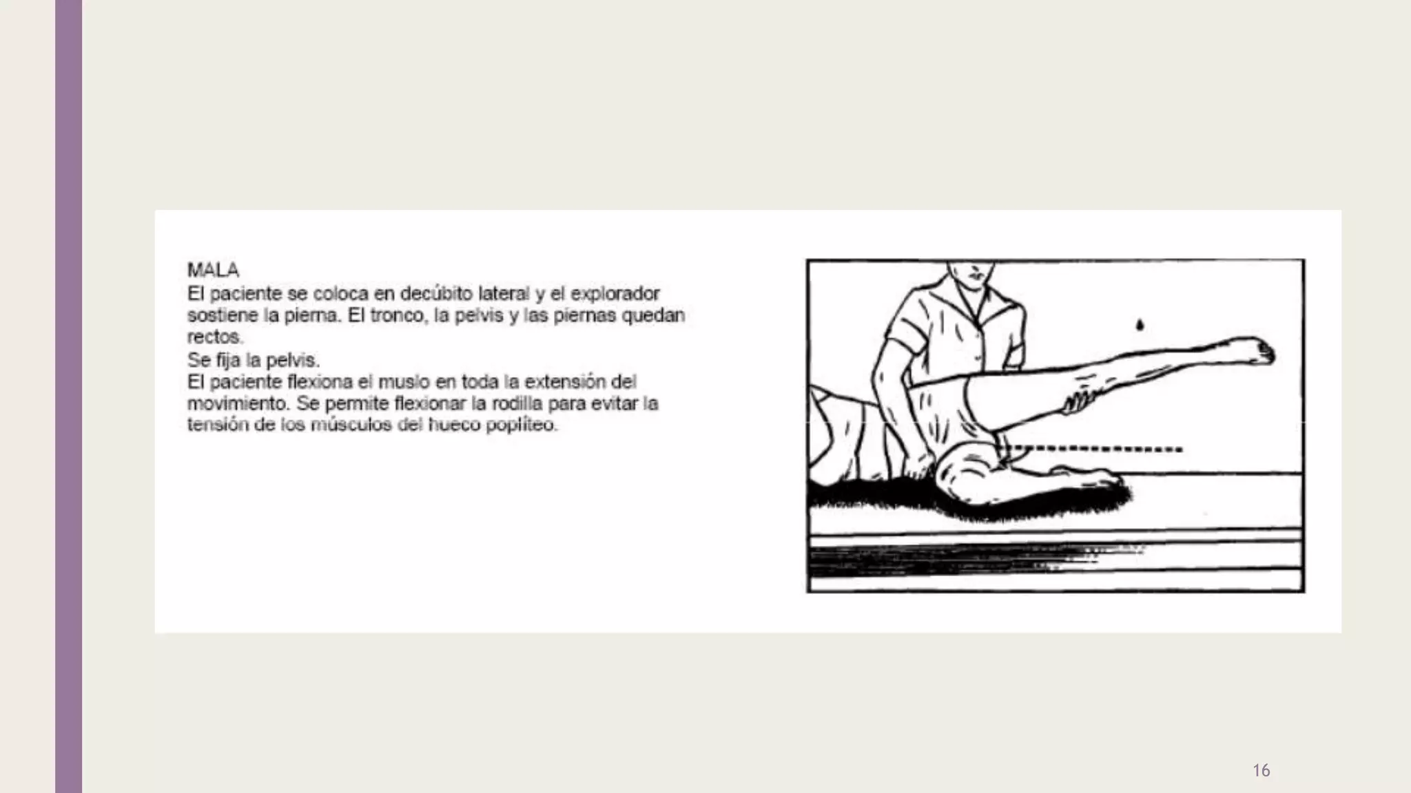 Examen Manual Muscular.pptx