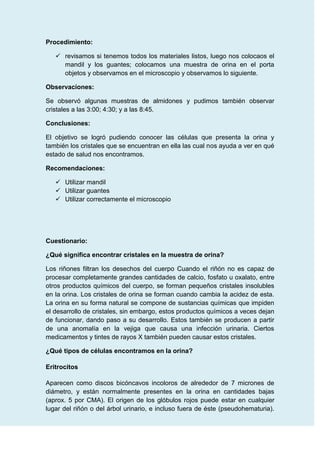 Examen microscopico de la orina | DOCX