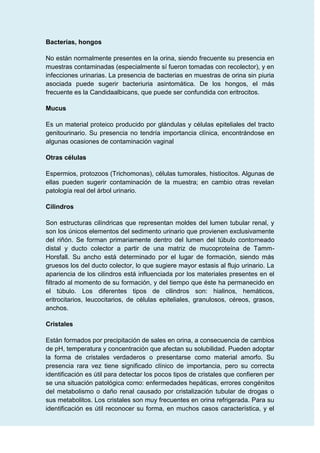 Examen microscopico de la orina | DOCX