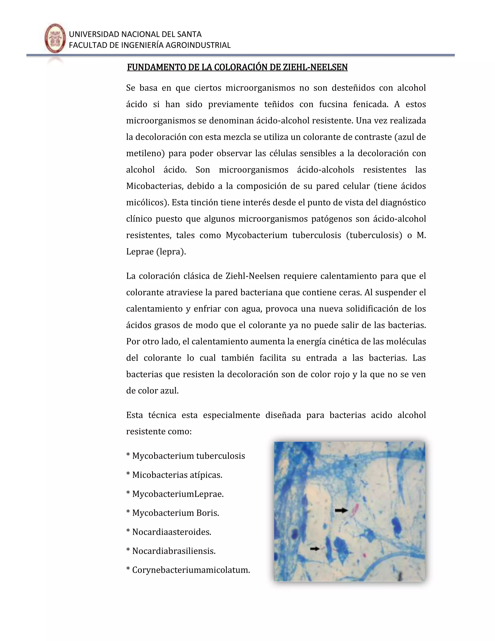 Examen microscopico de las bacterias | DOCX | Chemistry | Science