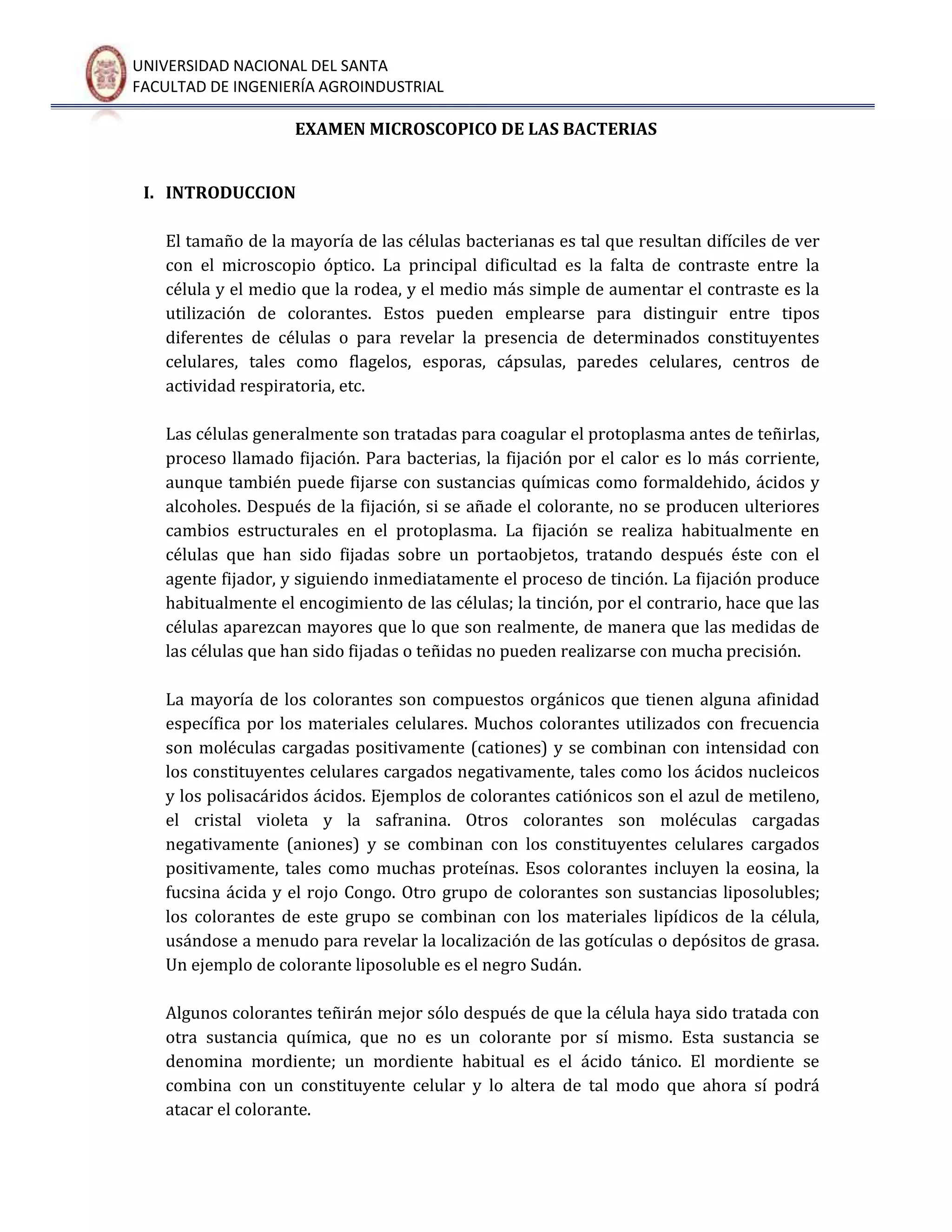 Examen microscopico de las bacterias | DOCX | Chemistry | Science