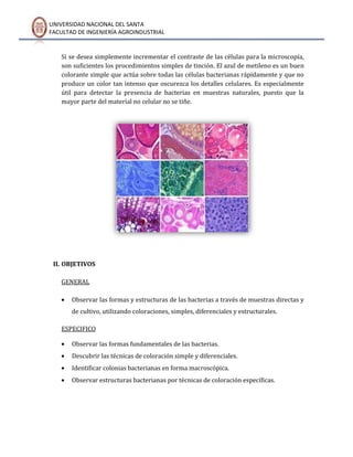 Examen microscopico de las bacterias | DOCX