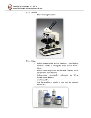 Examen microscopico de las bacterias | DOCX